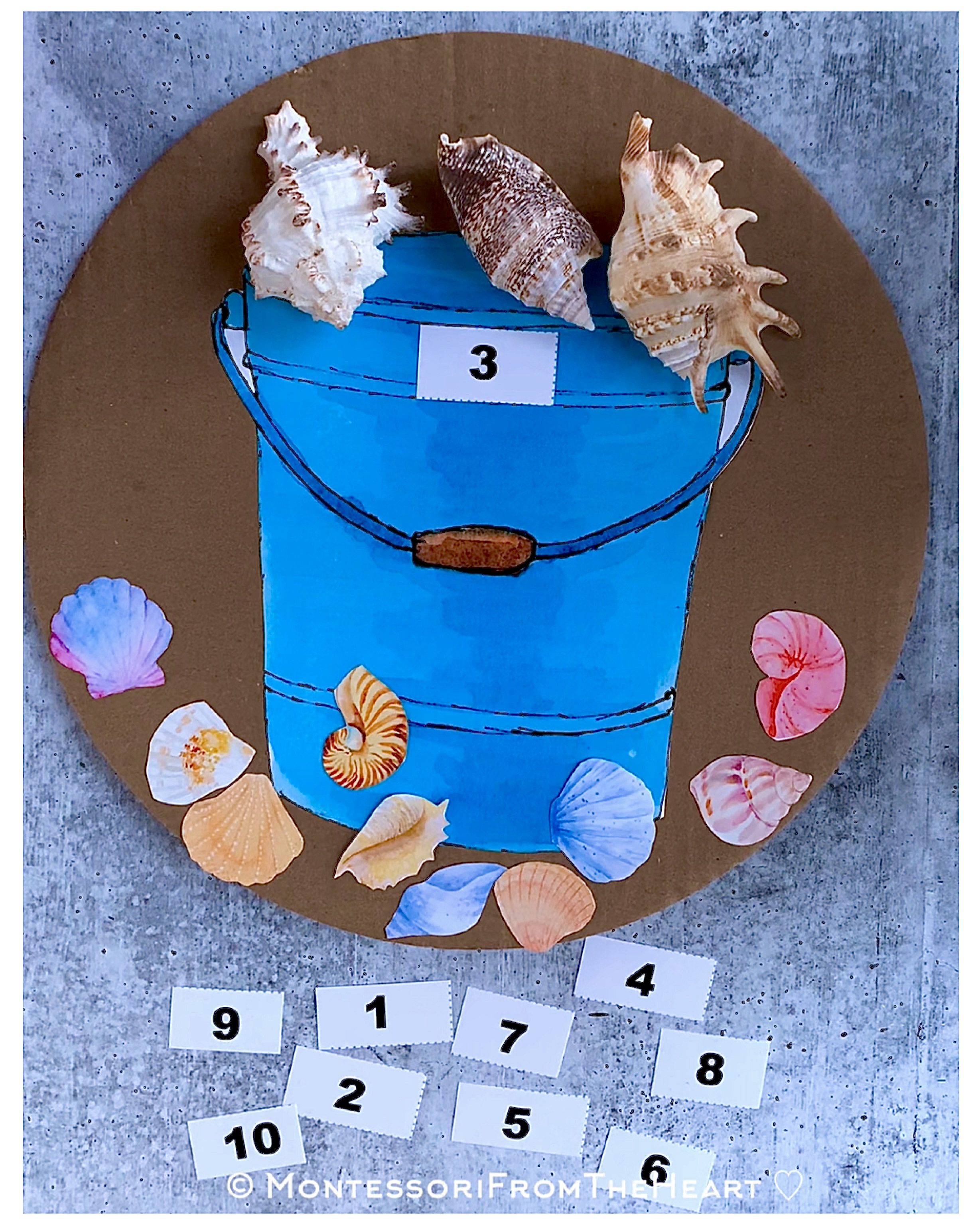 Seashell Counting Math Game
