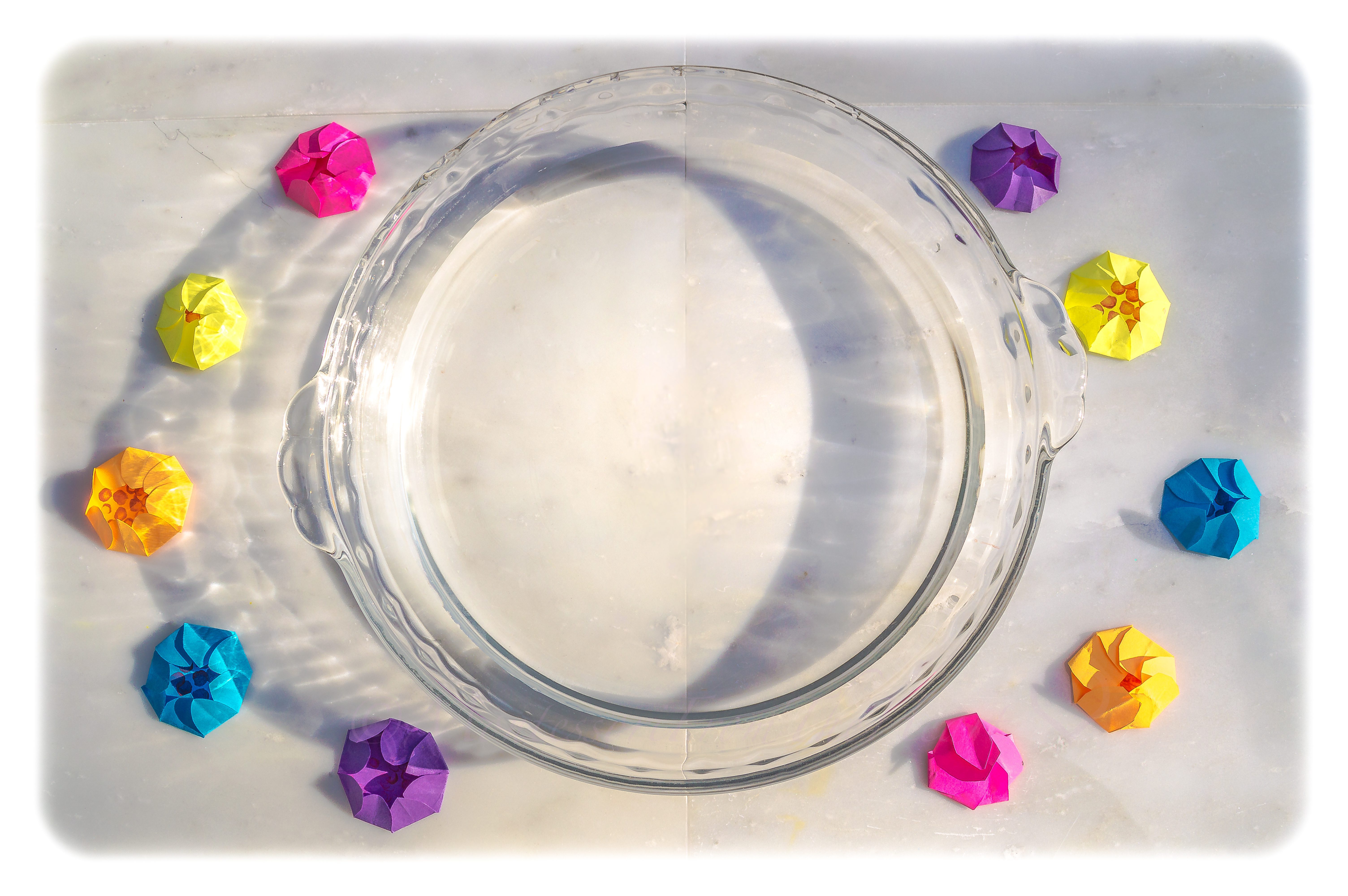 Magic Paper Blooming Flower STEM Science Trick