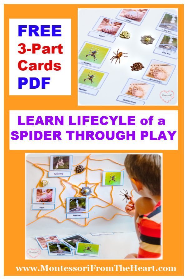 More about tiny crawlers: