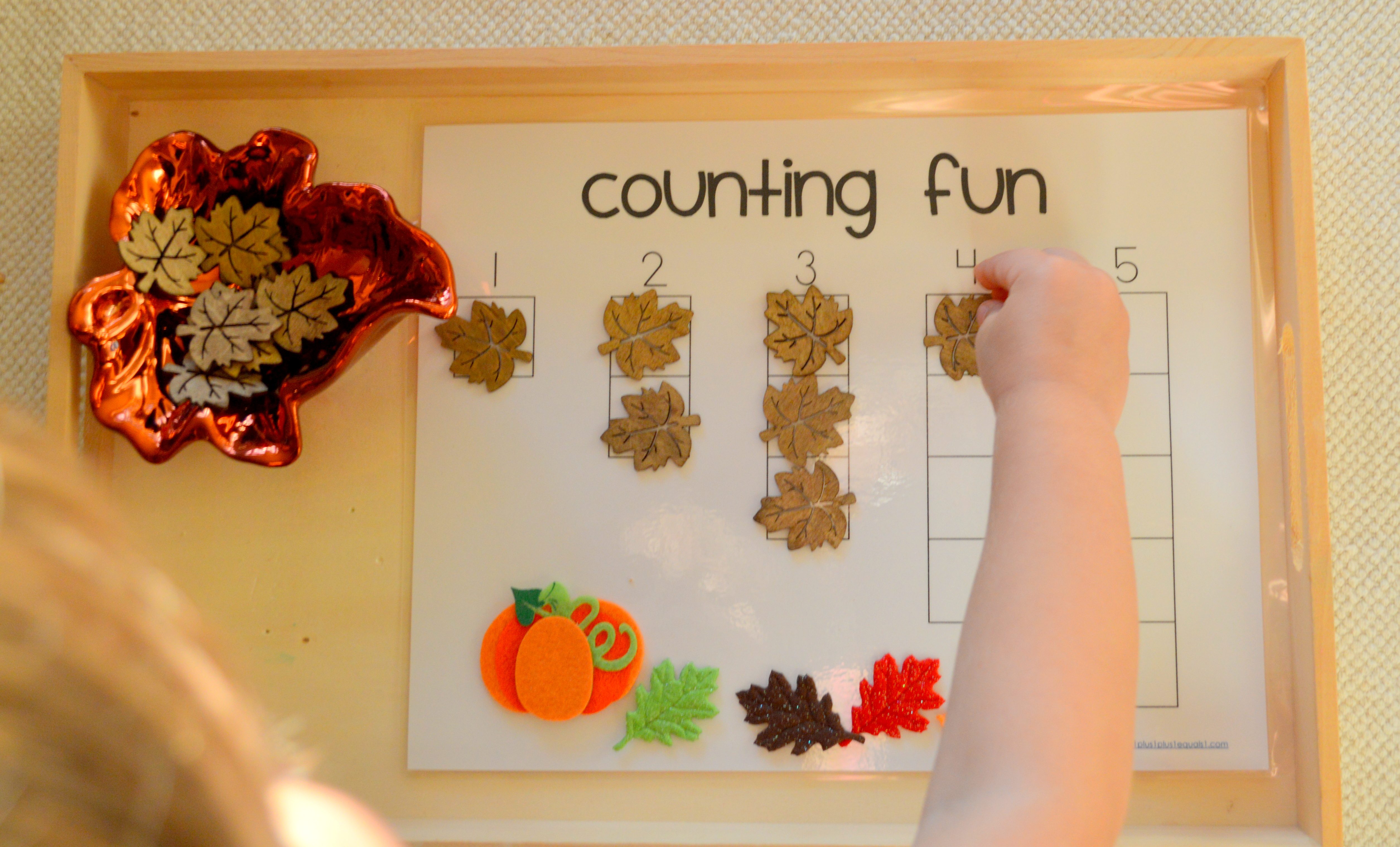 Montessori Leaves Numbers Counters